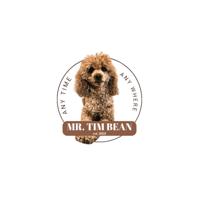 Home - Mr Tim Bean